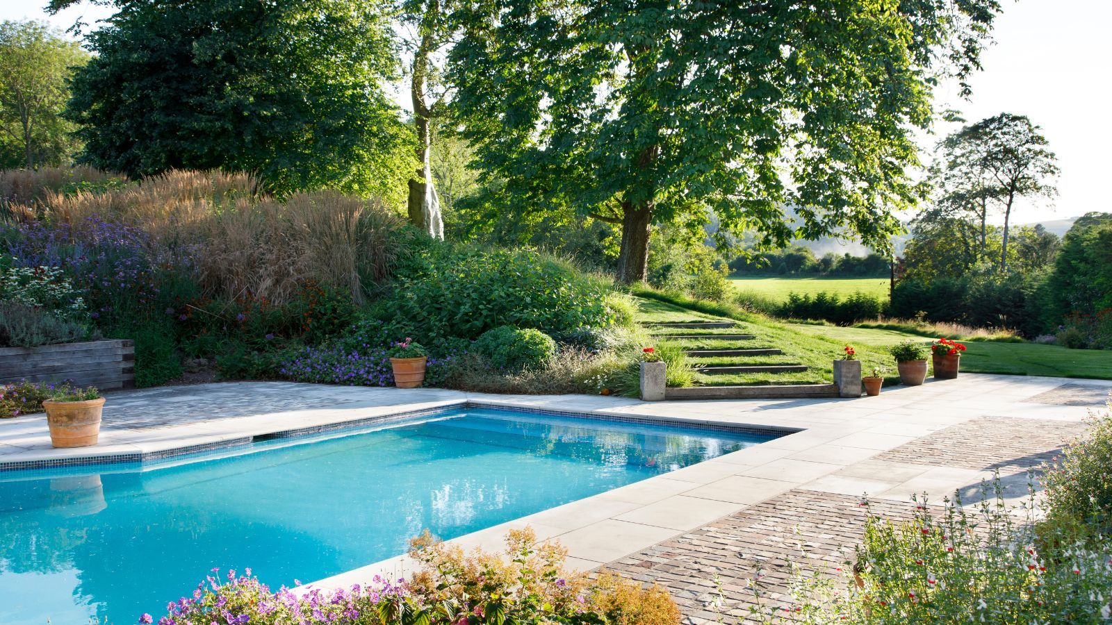 How to get rid of water bugs – 7 expert-recommended home remedies, plus ...