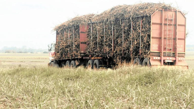 Tongaat Hulett faces liquidation after Vision and and BRPs clashed over ...