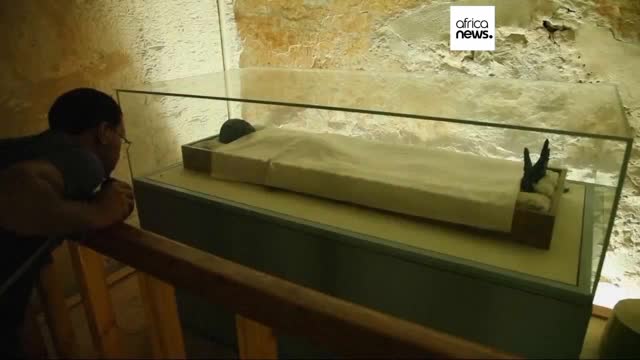 Ancient DNA reveals genetic link between early Egypt and Mesopotamia