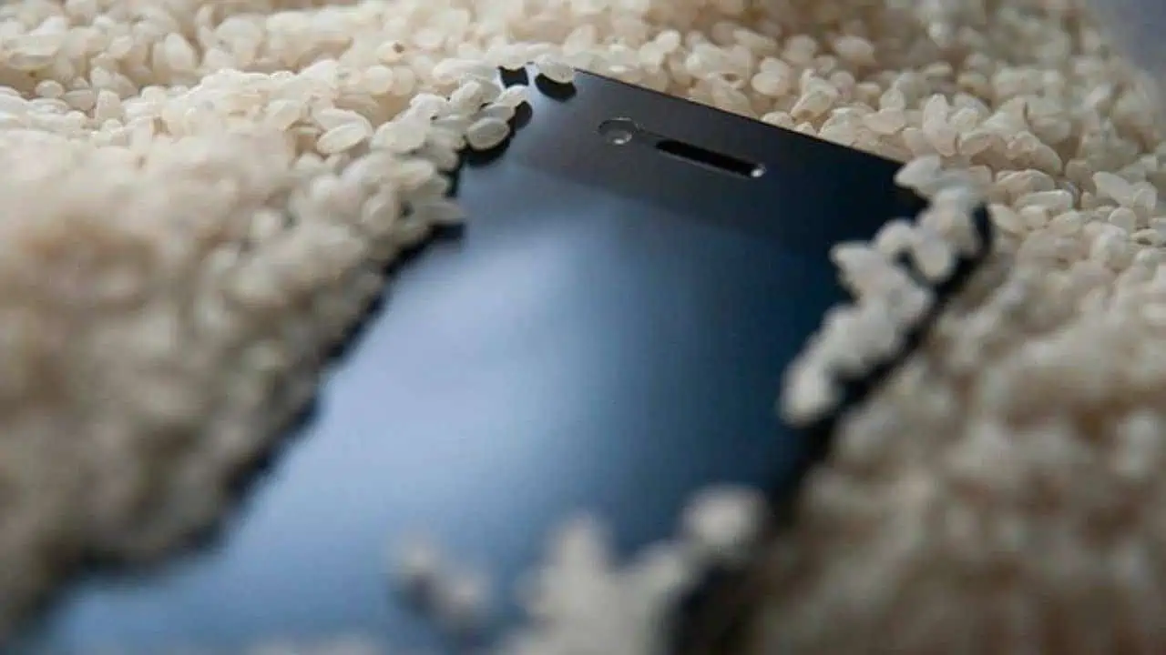 Telemóvel no arroz? Esquece isso. Há coisas melhores