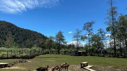 Reggae Naik Gunung: Garage Reggae Summer Camp 2025 Siap Bikin Geger ...