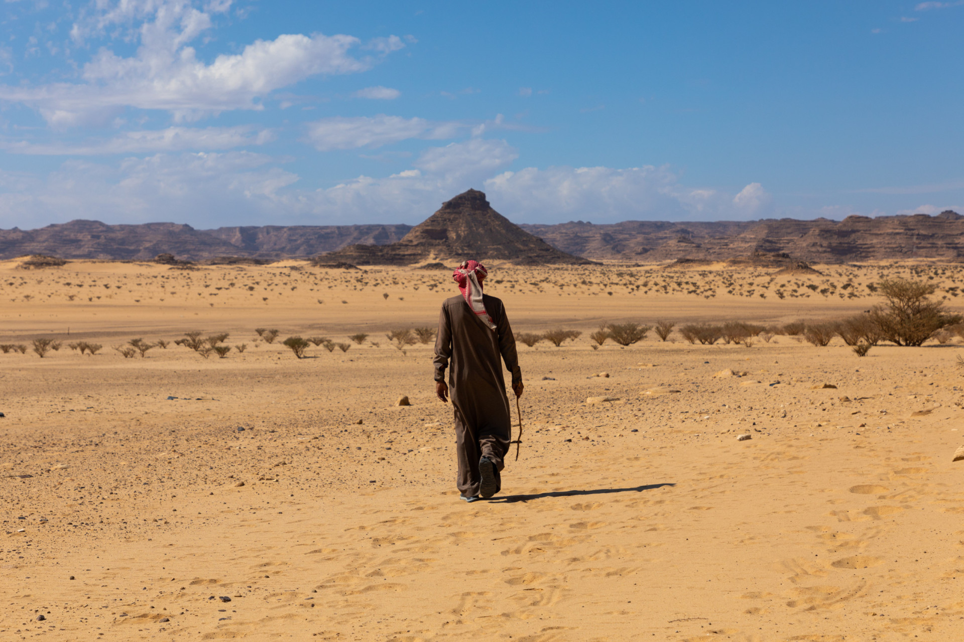 The largest deserts in the world
