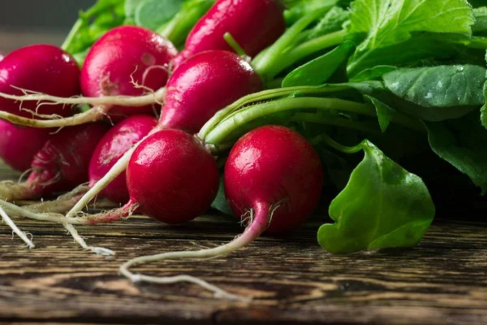 17 Radish Recipes That Go Beyond Salads