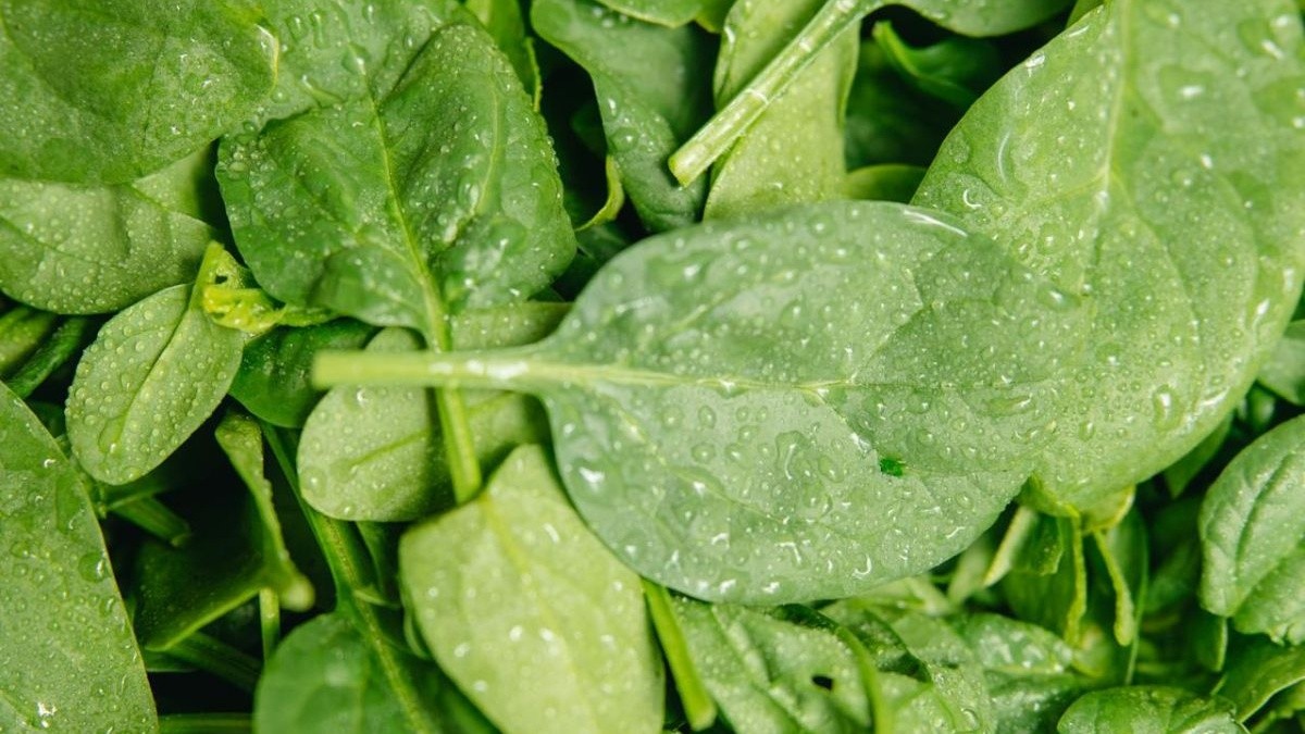 16 Recording Studios Where Music History Was Made