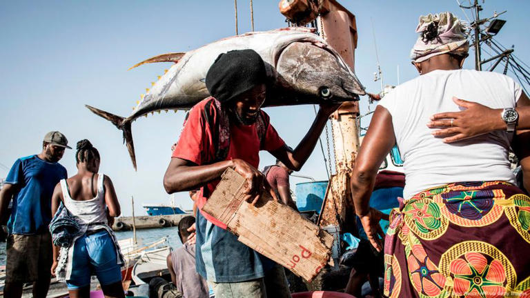 Cape Verde celebrates 50 years of independence