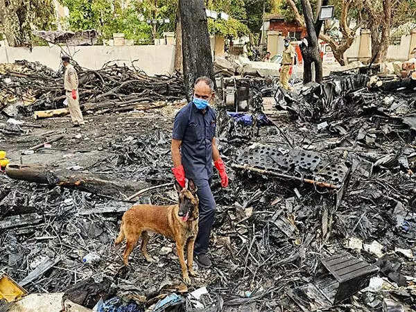 Indian Army mobilised 150-plus personnel within minutes of Air India ...