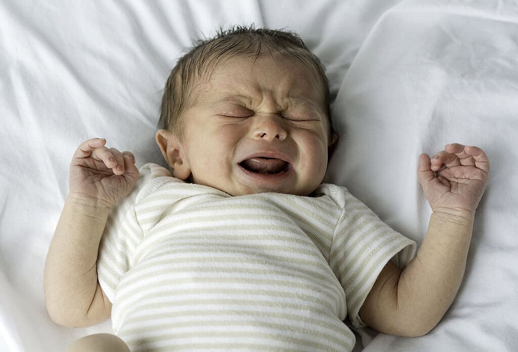 Newborns Feel Pain Long Before They Can Understand It