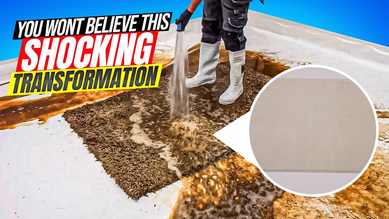 Watch This Flood-Ruined Rug Get Brought Back to Life! 🫧