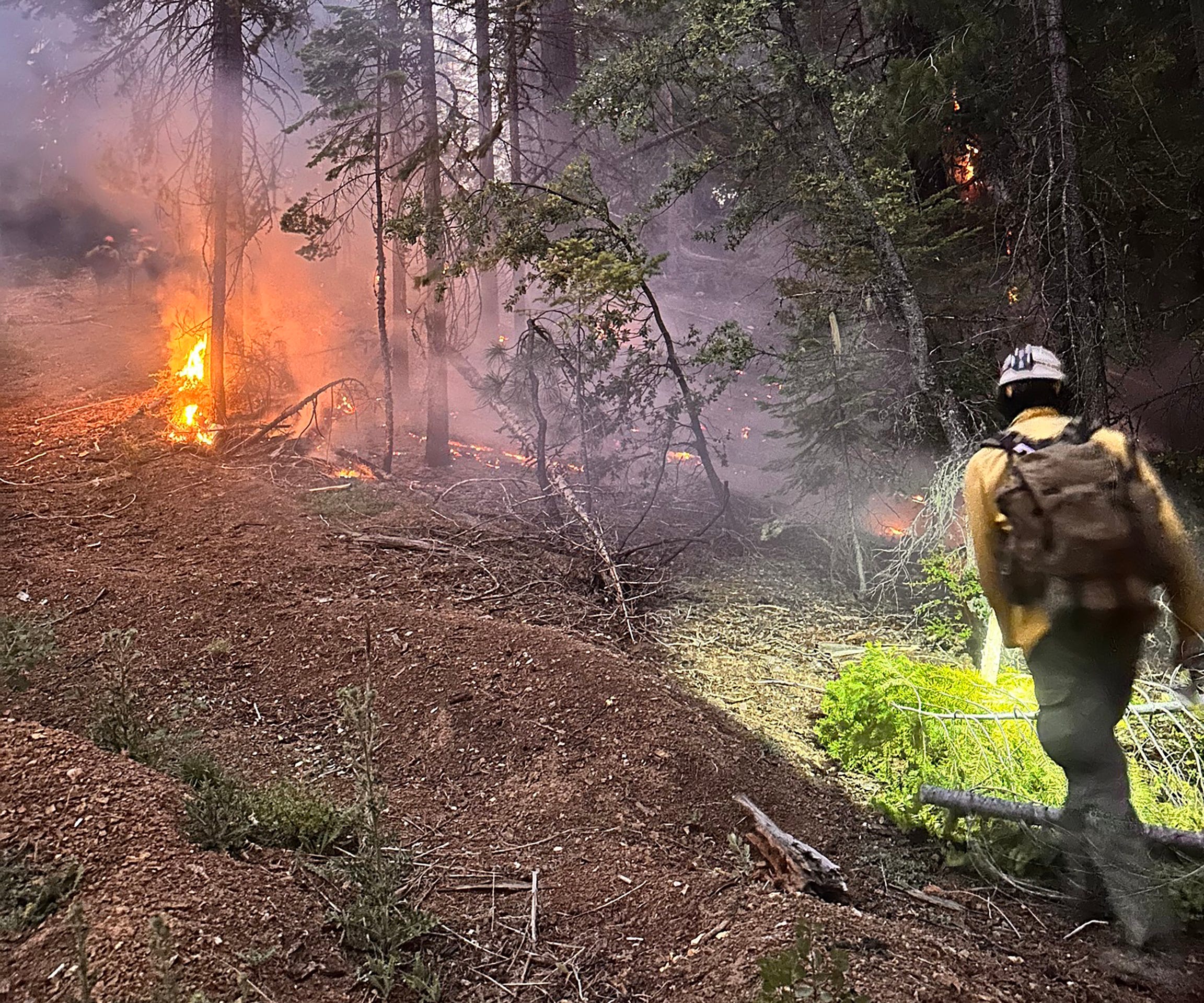 Poor air affects you even if you don't smell wildfire smoke: Air ...