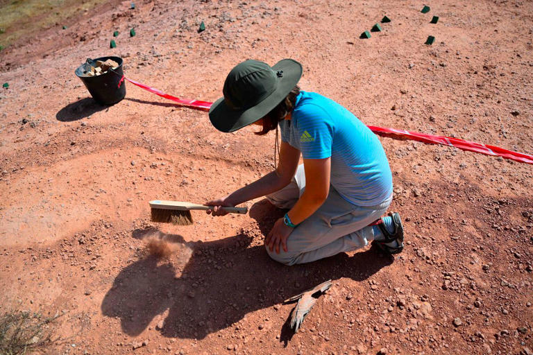 A World First: 80-Million-Year-Old Dinosaur Footprints Unearthed in ...