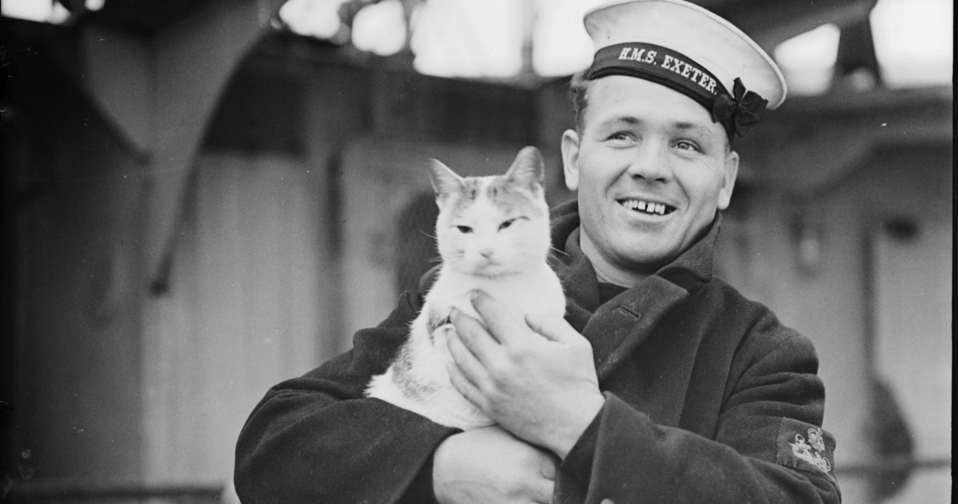 Wartime buddies: animals fighting in human conflicts