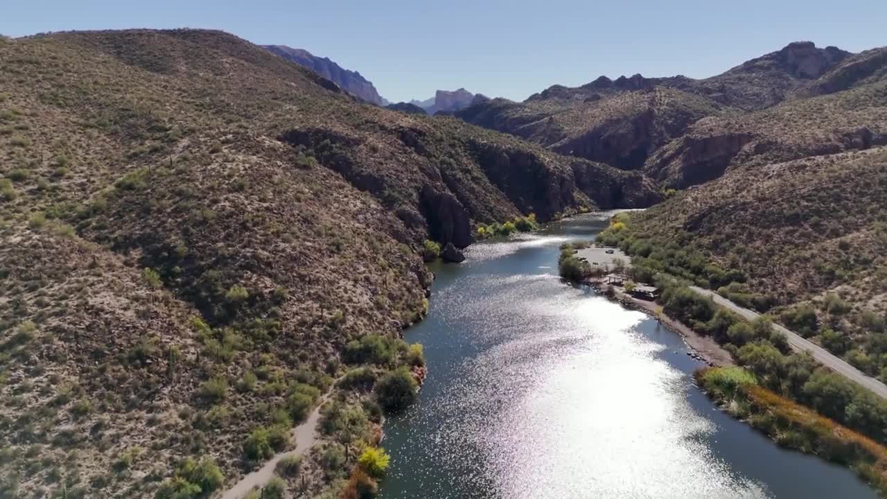 Arizona's Natural Majesty: Saguaro from a Drone's Eye