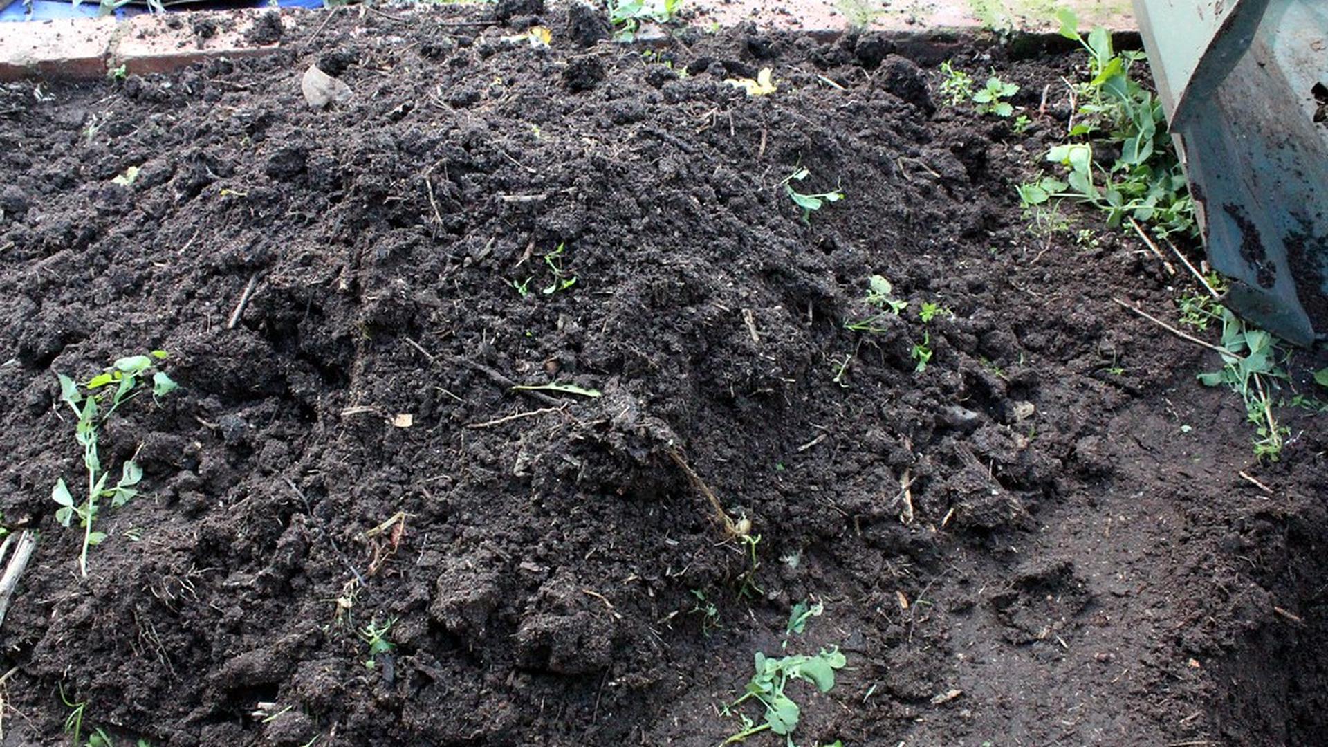 Composting Won’t Save the Planet—But This Just Might