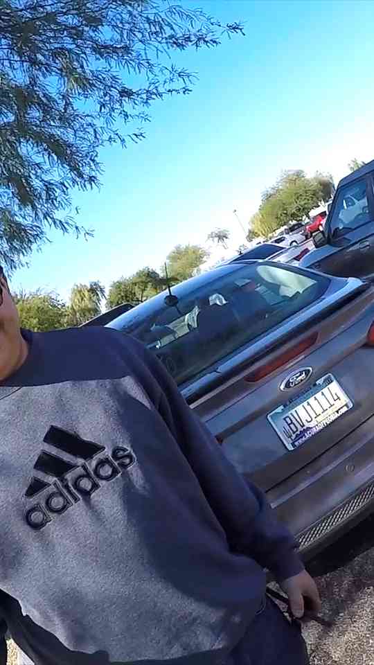 Wild biker stories | I think a bird just flew into that car