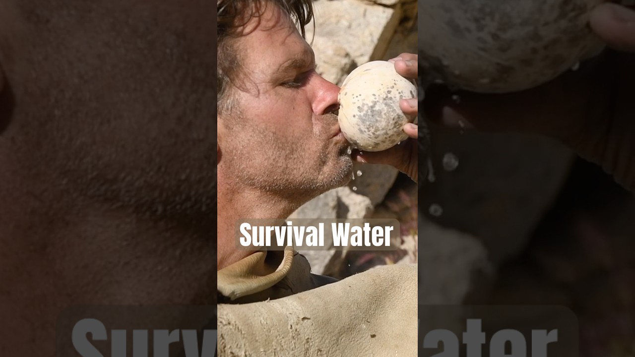 I found water in the desert