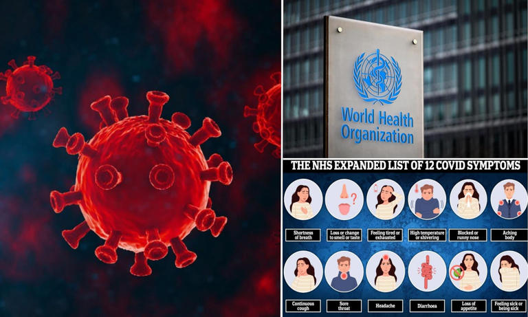 'Frankenstein' Stratus Covid variant has rocketed four-fold in just a month