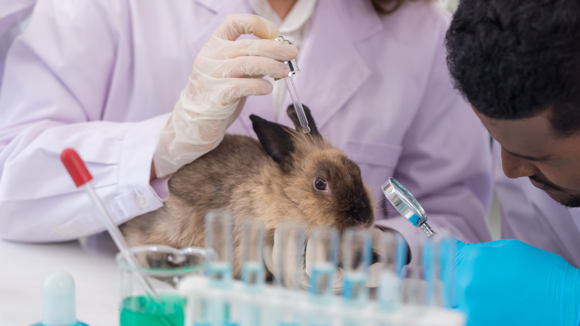 Os produtos que ainda usam animais para testes