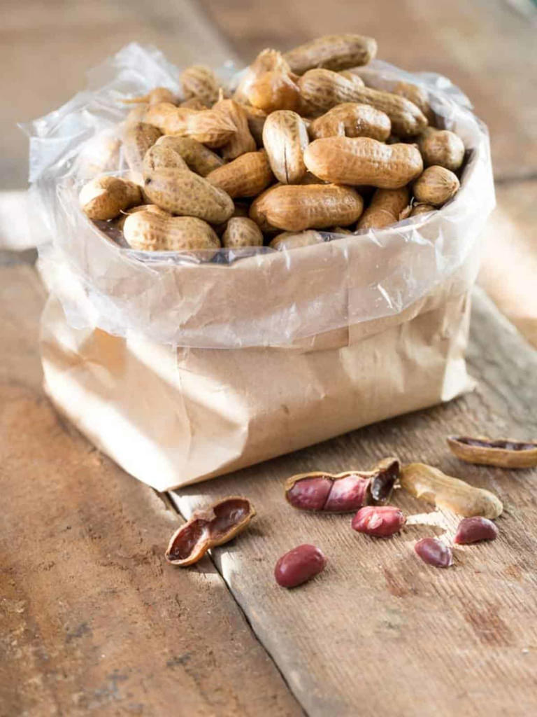 Southern Instant Pot Boiled Peanuts