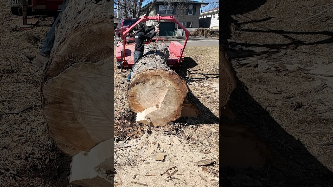 Picking up a 36” X 14’ silver maple log