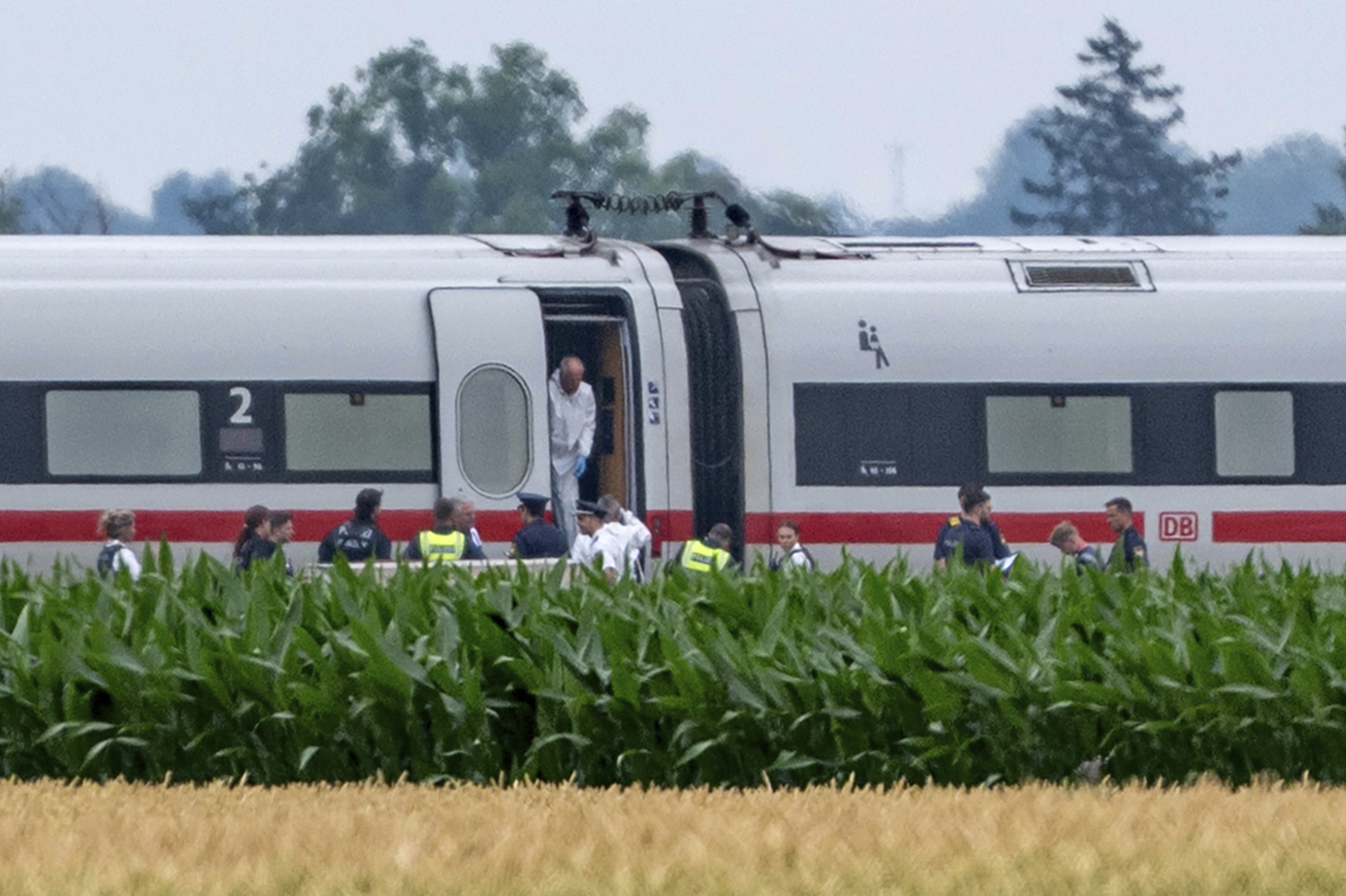 Four people injured in hammer attack on German train, police say