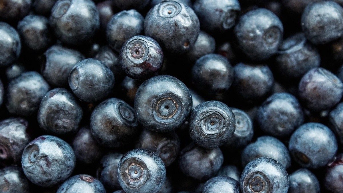 What fruits can dogs safely eat? Safe list and benefits