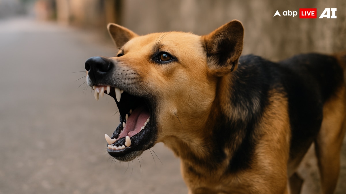 Kerala To Launch Sterilisation Of Stray Dogs, Permits Euthanasia Of ...