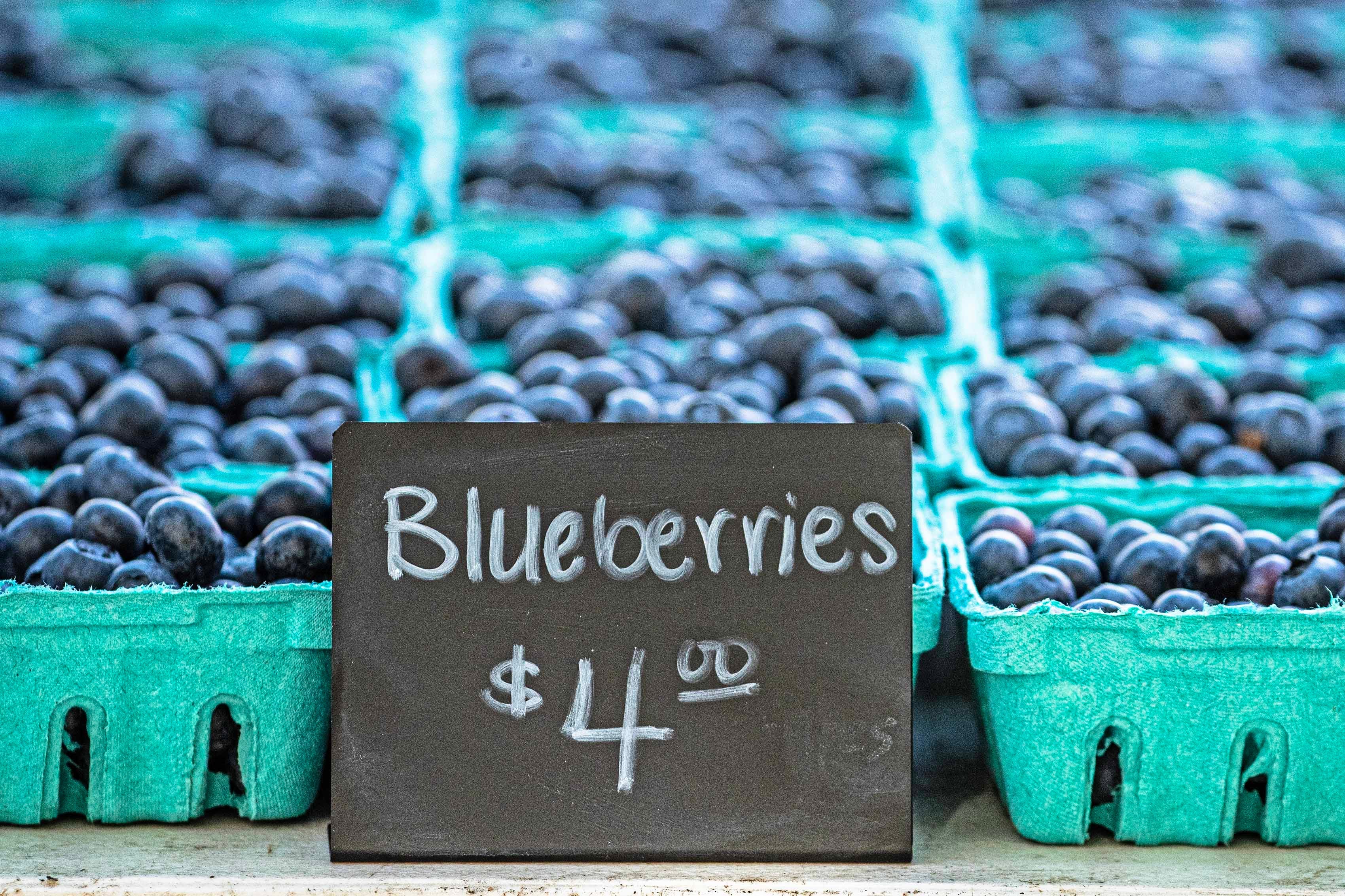 12,000 pounds of blueberries recalled due to listeria risk. Were they ...