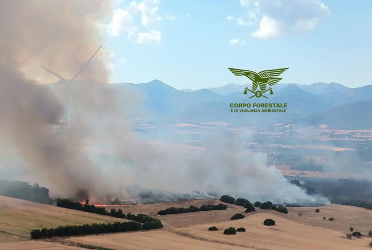 Incendi: 14 nell'Isola, in 3 mezzi aerei e paura nell'Oristanese