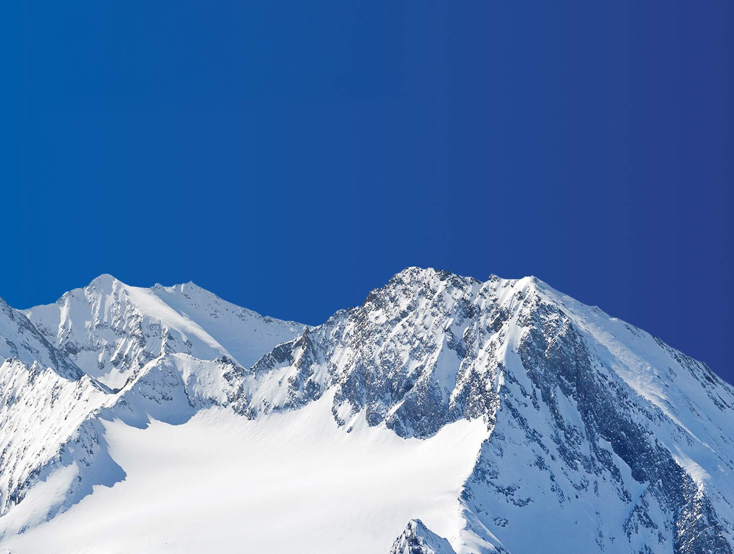 Rudolf Named Global Distributor of Sanitized Technologies