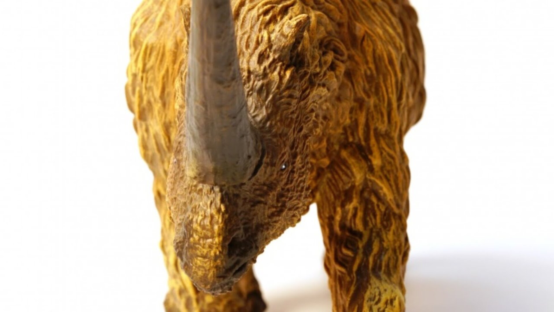 Strange Extinct Creatures That Weren't Dinosaurs