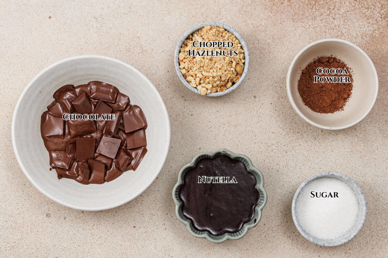 Chocolate hazelnut babka