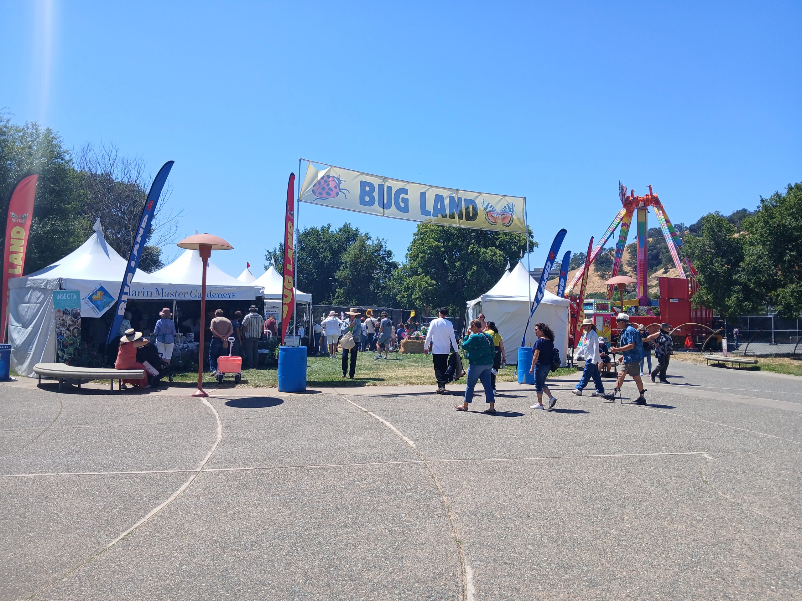 Bugs, fireworks and pig races: Marin County Fair turns 100 with a ‘bug ...