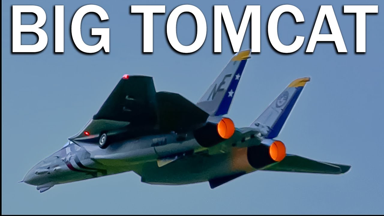 Top Gun Vibes with the F-14 Tomcat RC Jet Flight