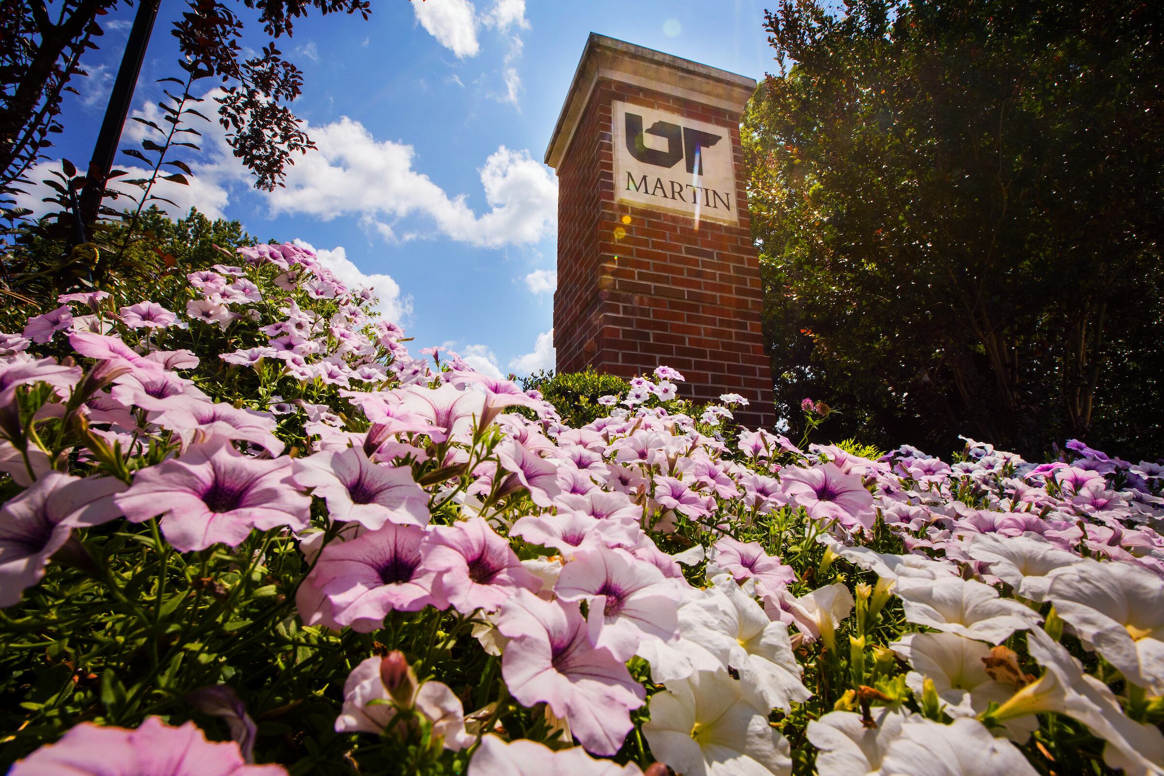 UT Martin Board of Trustees approves tuition increase