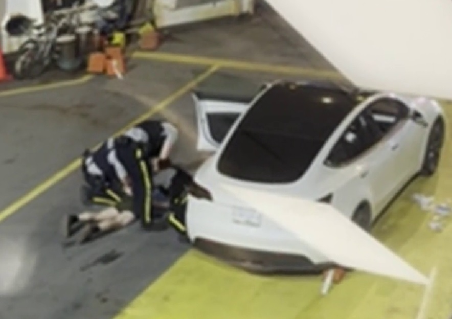 Pantless Tesla driver altercation on BC Ferries latest in ‘negative ...