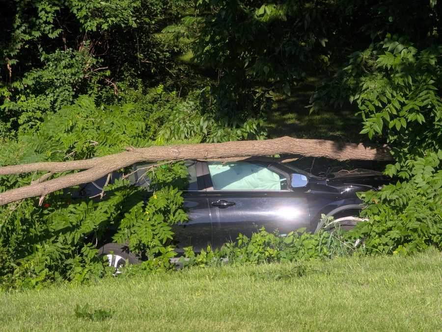 Roscoe crash: Vehicle hits tree, first responders on scene