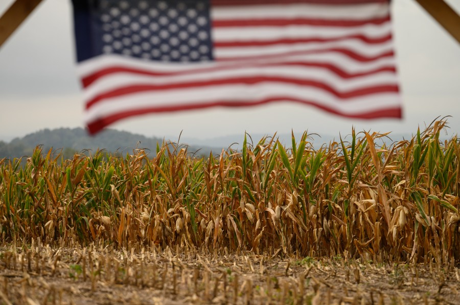 Trump administration releases aid figures for farmers