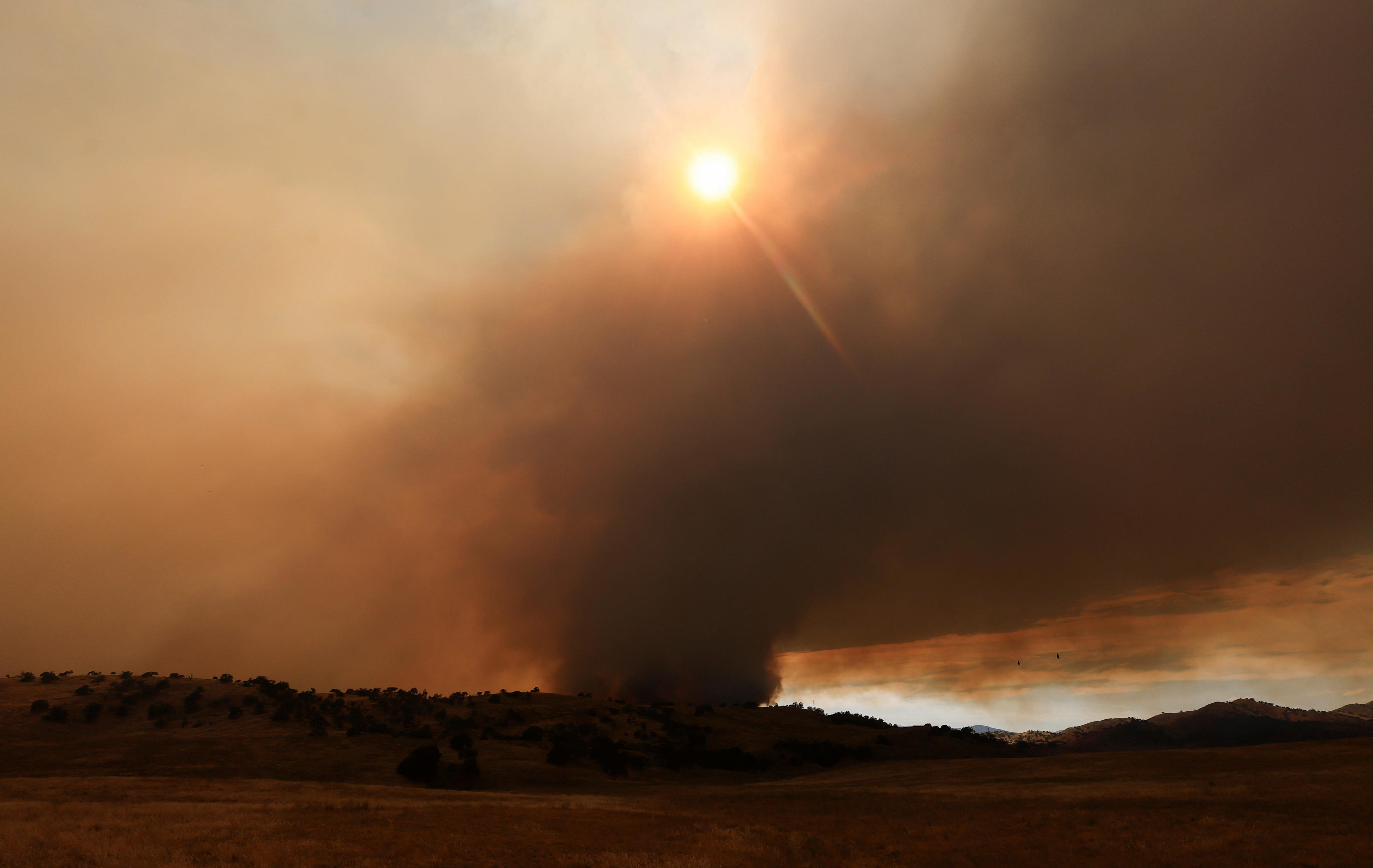 Madre Fire explodes in size, becoming California's largest wildfire this year