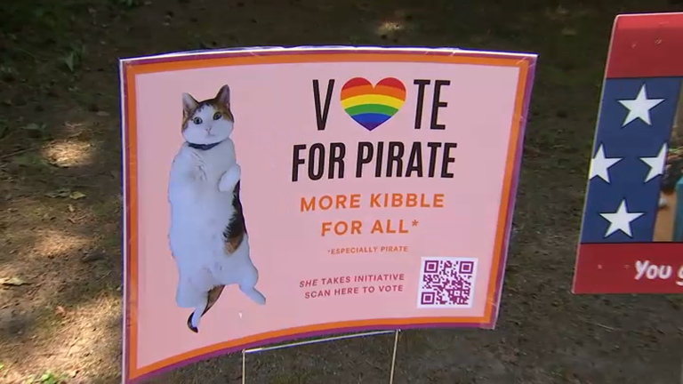 Cats are running for mayor of a Mass. bike path. Locals think it's ...