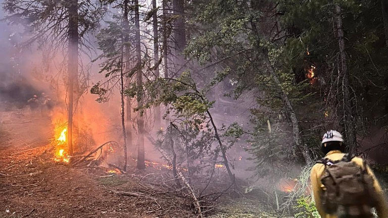 Understanding wildfire terminology: A guide to common fire behavior terms
