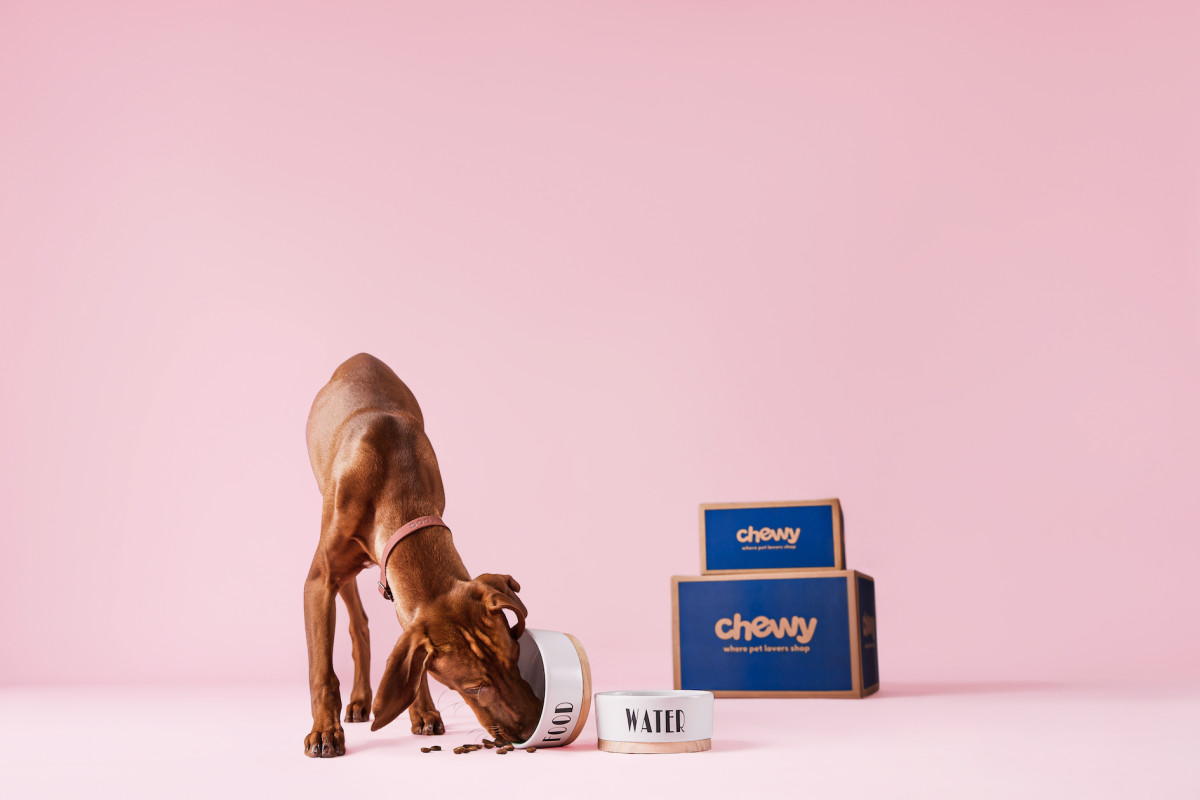 Let Your Big Dog Roam Wire-Free with SpotOn’s GPS Fence