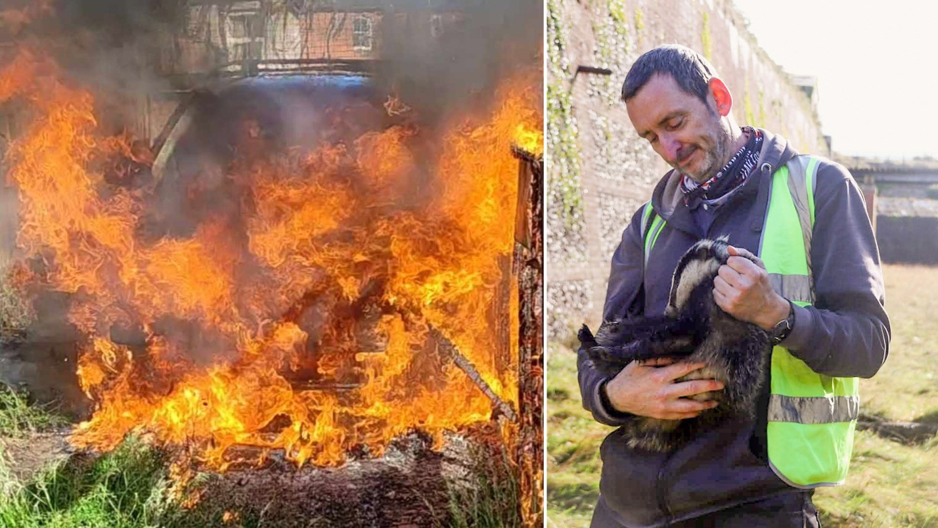 Woman torches car blaming badgers for cat's death