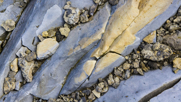 Iowa's Unique Gorge Reveals A 375-Million-Year-Old Ocean Floor Full Of ...