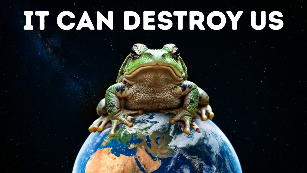 The cane toad: A silent invader threatening our ecosystem