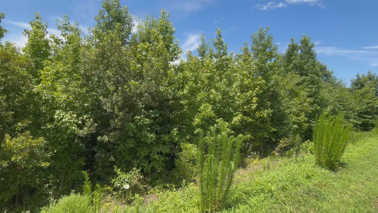 Concord residents divided over massive development plans