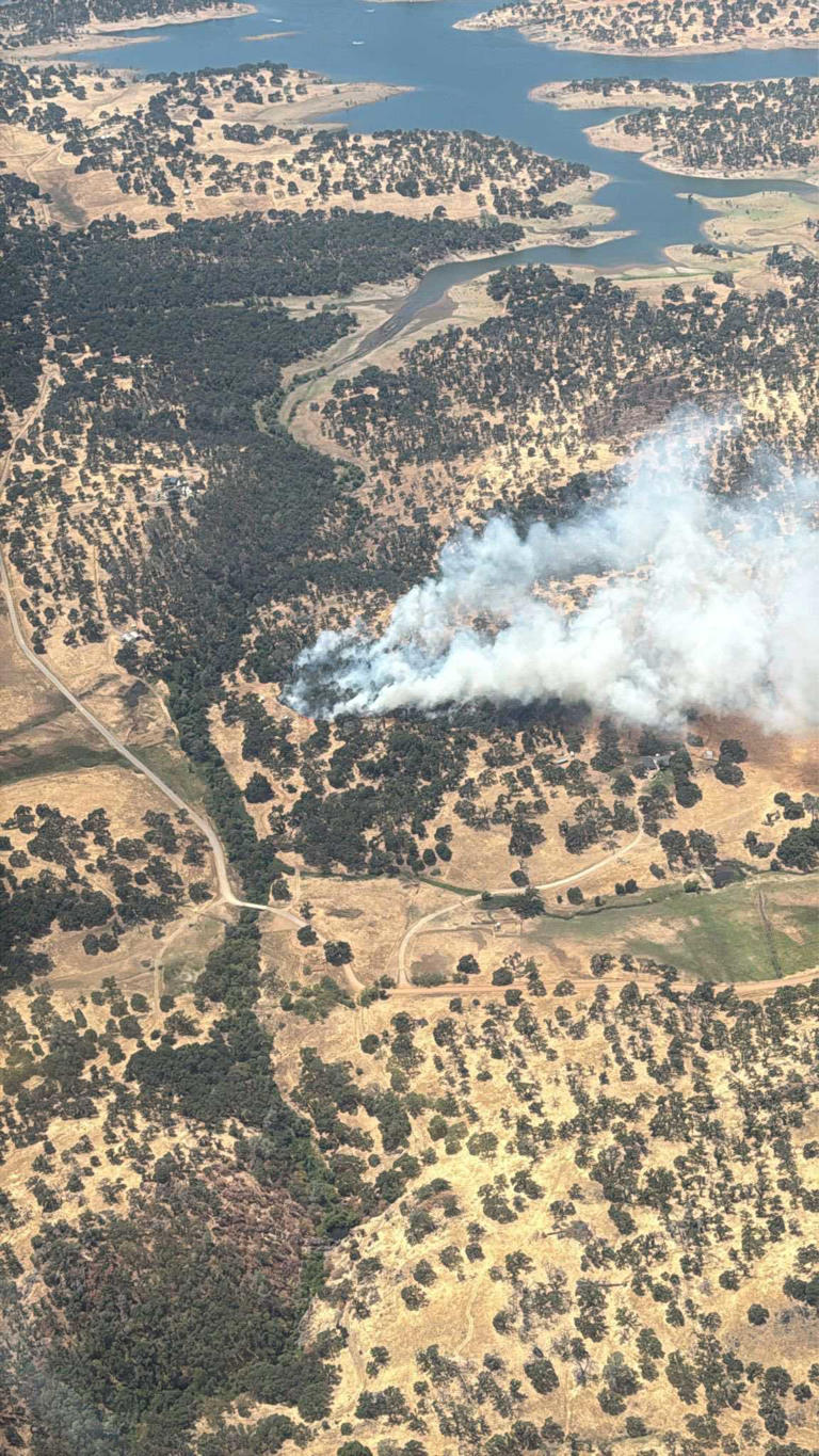 Ravine Fire: Forward progress stopped after grass fire burns in Penn Valley