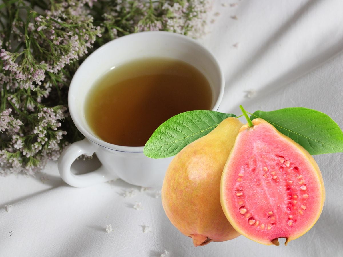 ¿Para qué sirve la hoja de guayaba? Estas son sus propiedades curativas