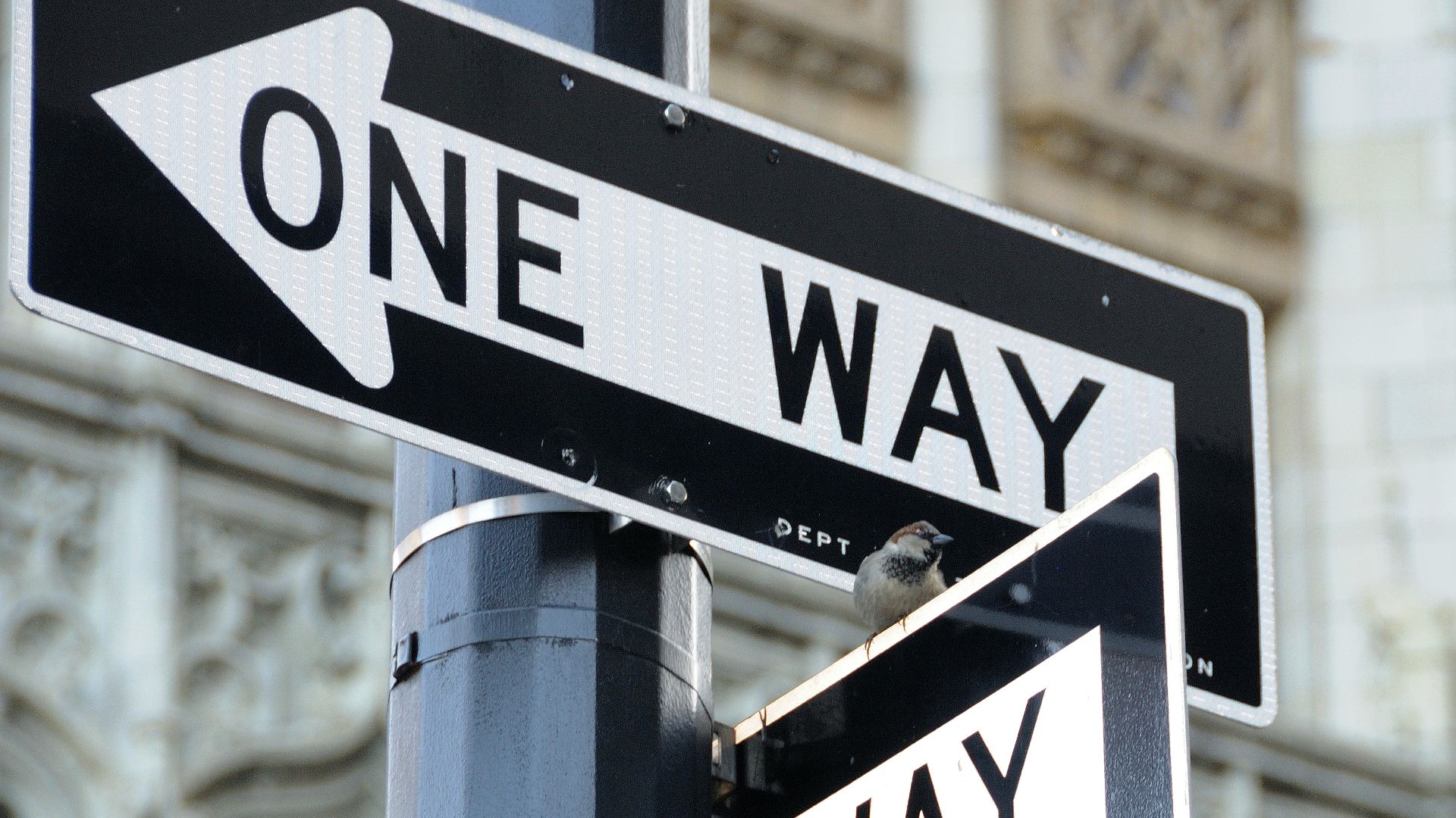 10 Signs You're a Horrible Driver & 10 Signs You're a Fantastic One