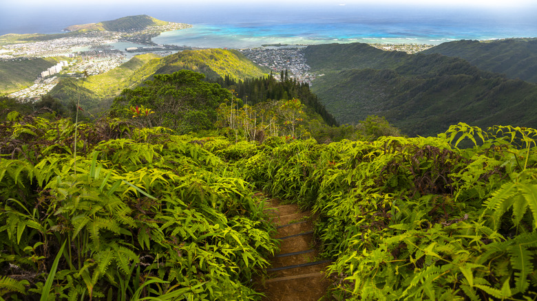 One Of Oahu's Most Secret Beaches Is A Pristine Stretch Of Gold ...
