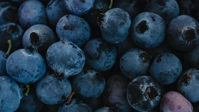 High-level recall: Blueberries pulled nationwide due to listeria concerns